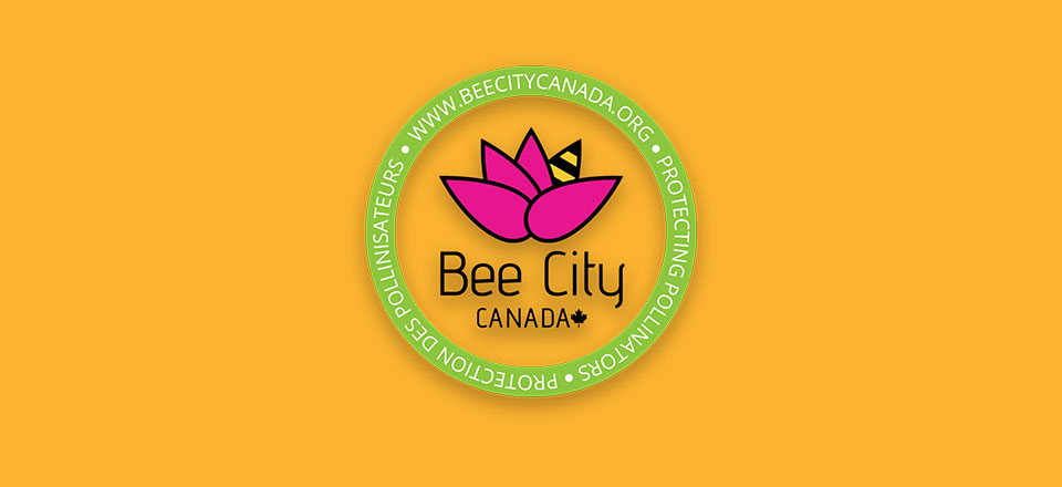 Simcoe County receives designation as a Bee City - Route 93 Innovation Hub
